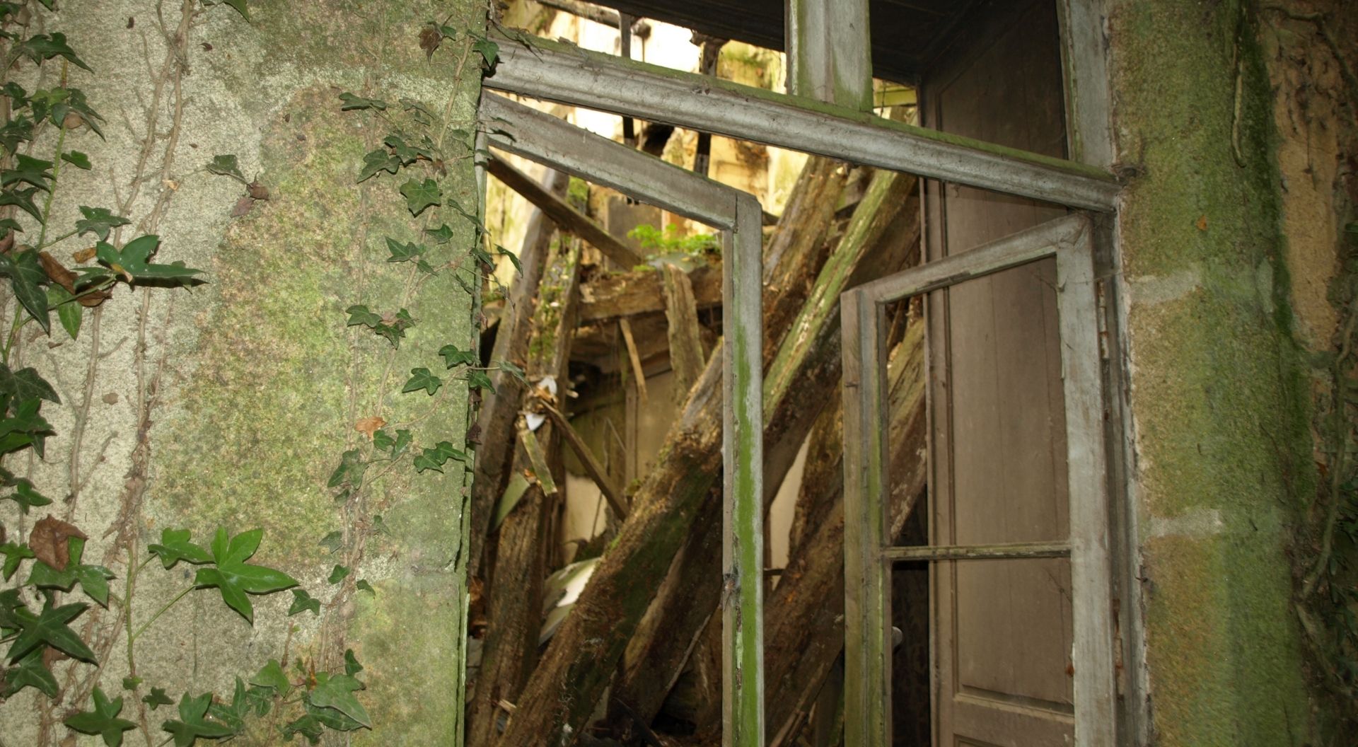 Sebastien B. - Membre du réseau Twiza