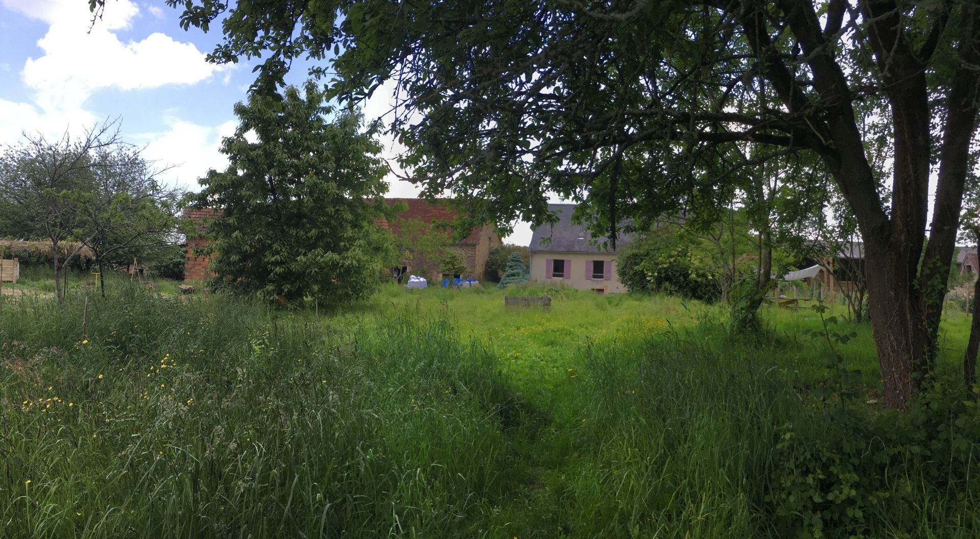 Isabelle G. - Membre du réseau Twiza